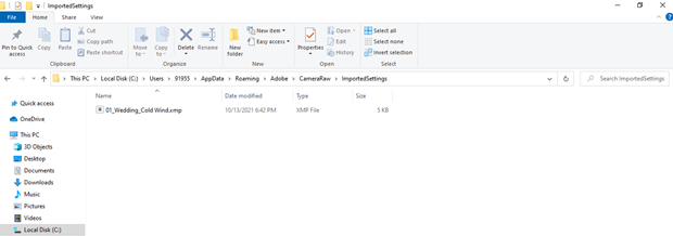 Lightroom XMP | Learn How to install new xmp presets in Lightroom?
