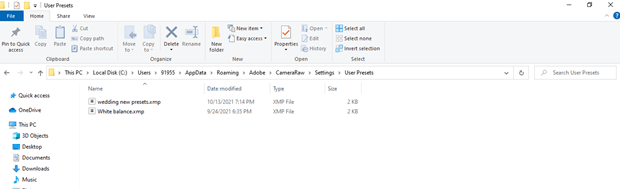 Lightroom XMP | Learn How to install new xmp presets in Lightroom?