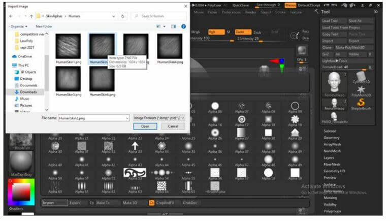 ZBrush Alpha Skin | How to Use Alpha Skin in ZBrush?