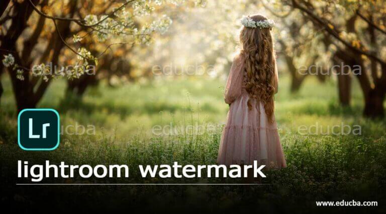 lightroom watermark | How to Create Lightroom watermark?