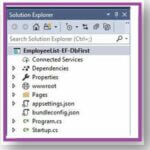ASP.NET Core Entity Framework | Overviews and Install Entity Framework