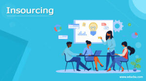 Insourcing | How does Insourcing work with Example and Risk?