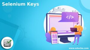 Selenium Keys | How to Use Selenium Keys with Examples?