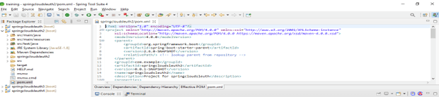 Spring Cloud Sleuth | Auto Configuration for Distributed Tracing