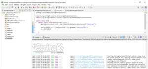 Spring Boot Qualifier | What is Spring Boot Qualifier?