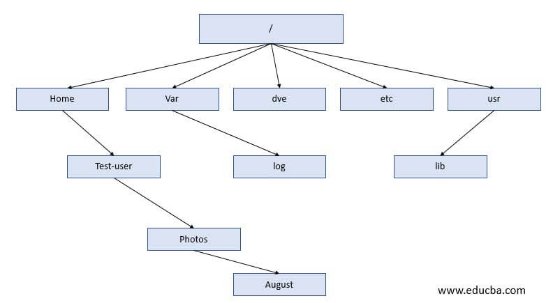 Linux Relative Path How Linux Relative Path Works With Examples 