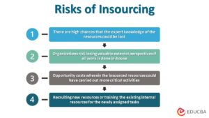 Insourcing | How does Insourcing Work with Example and Risk?