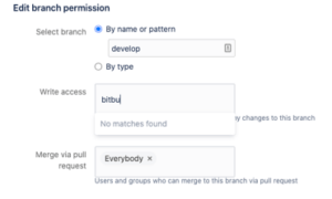 Bitbucket Branch Permissions | Guide to Bitbucket Branch Permissions
