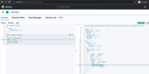 Elasticsearch Client | Introduction | Code and Examples
