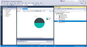 SSRS Reports | What are SSRS reports? | How to work SSRS reports?