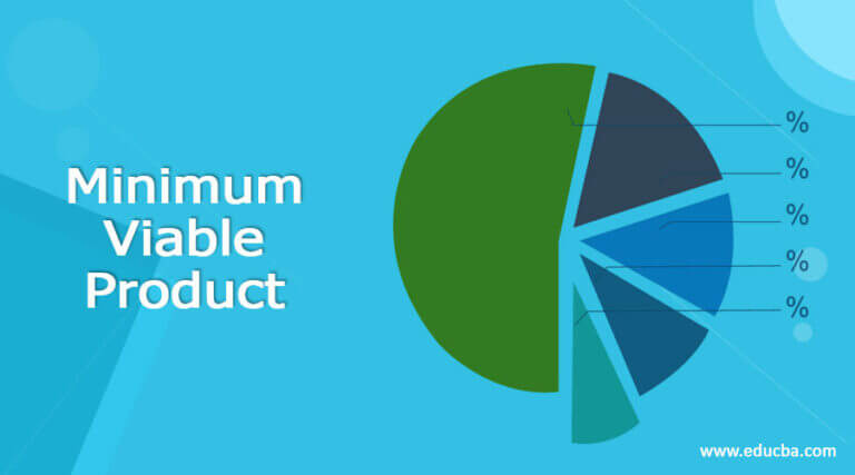 Minimum Viable Product | Purpose & Example of Minimum Viable Product