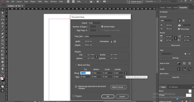 InDesign Bleed: How to Set up add InDesign Bleed to a File