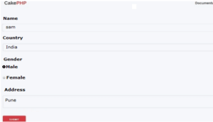 CakePHP Form | What is CakePHP form? | How to Create CakePHP form?