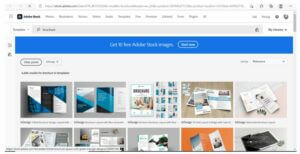 Adobe InDesign Templates | How to Use Adobe InDesign Templates?
