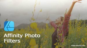 Affinity Photo Filters | How to use affinity photo filters?