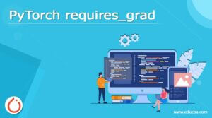 PyTorch requires_grad | What is PyTorch requires_grad?