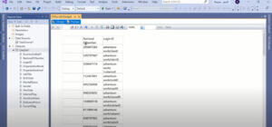 SSRS Alternate Row Color | Example of SSRS Alternate Row Color