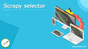 Scrapy selector | What is and How to Construct scrapy selector?