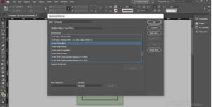 InDesign Preview Shortcut | How to use InDesign preview shortcut?