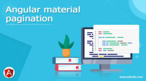 Angular material pagination | Learn How does pagination works?