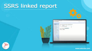 SSRS linked report | Complete Guide to SSRS linked report