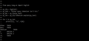 SpaCy tokenizer | What is spaCy tokenizer? | Examples