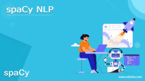 spaCy NLP | Information Extraction Language Processing System