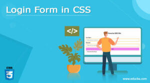 Login Form in CSS | How does CSS login form works?
