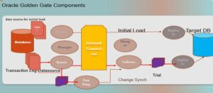 Oracle Golden Gate | Why Use Oracle Golden Gate with Architecture?