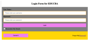 Login Form in CSS | How does CSS login form works?