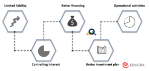 Holding Company | Features and Types of Holding Company with Example
