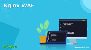 Nginx WAF | Definition | What is nginx waf? | Nginx WAF Models