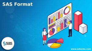SAS Format | Complete Guide on SAS Format with detailed overview