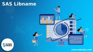 SAS Libname | How to Use SAS Libname with Statement?
