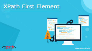 XPath First Element | What is the XPath first element?
