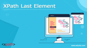 XPath Last Element | How can I use XPath last element?