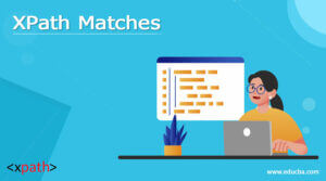 XPath Matches | What is XPath matches? | Function | Method
