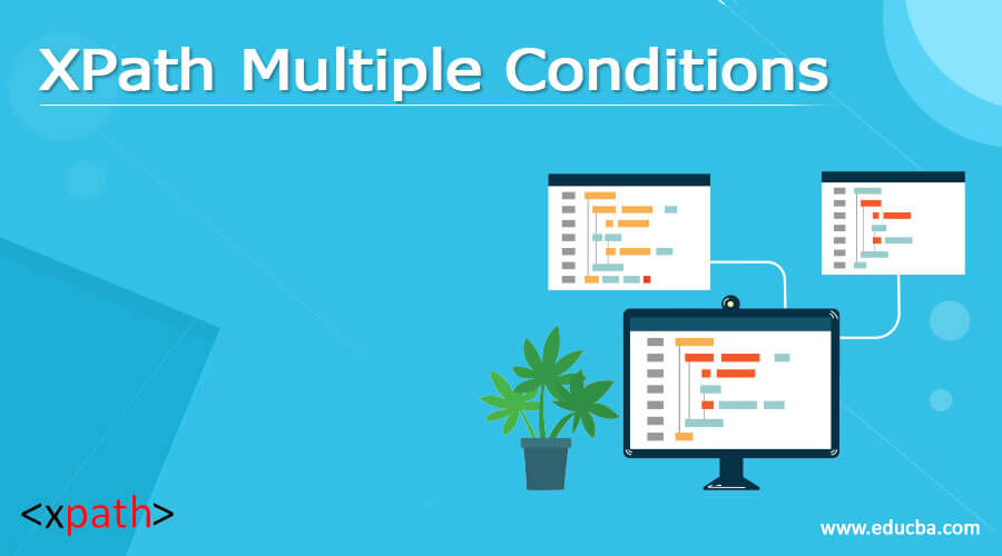 XPath Multiple Conditions How To Use XPath Multiple Conditions 
