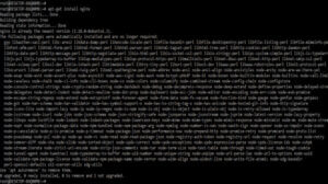 Nginx X-Forwarded-For | How to use nginx x-forwarded-for?