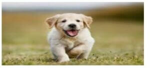 Kotlin DSL | Kotlin to Language Creates in DSL with its Working