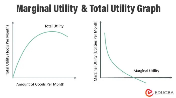 Marginal Utility - Meaning, Types, Curve, Formula, Examples