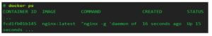Nginx Container | How to Setup Nginx Docker Container? | Server