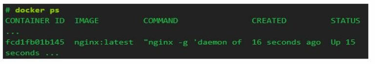 Nginx Container | How to Setup Nginx Docker Container? | Server