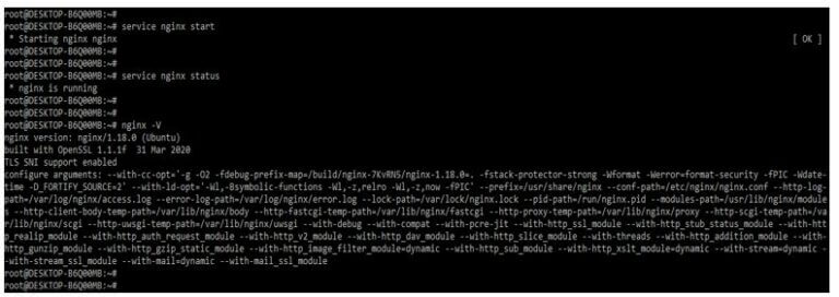Nginx Environment Variables How To Use Nginx Environment Variables