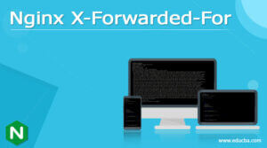 Nginx X-Forwarded-For | How to use nginx x-forwarded-for?