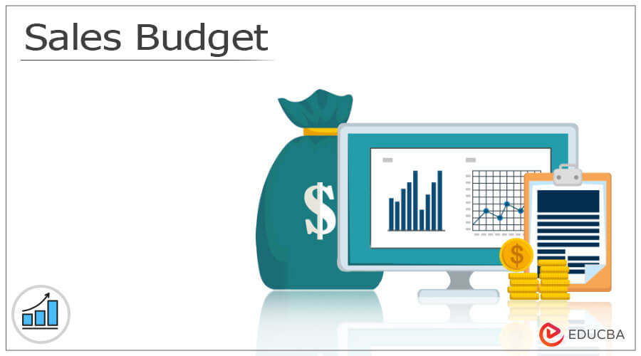 Sales Budget Need Of Sales Budget Example Of Sales Budget