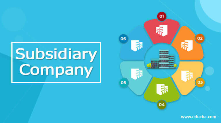 Subsidiary Company | How does a Subsidiary Company work with Types?