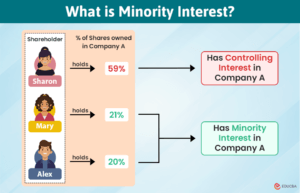 Minority Interest | Passive Minority Interest vs Active Minority Interest