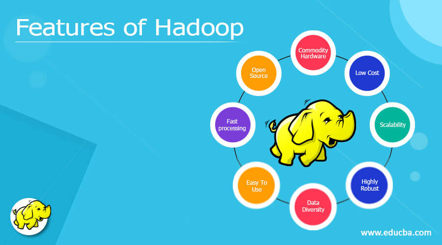 Features Of Hadoop Module With The Most Popular Features