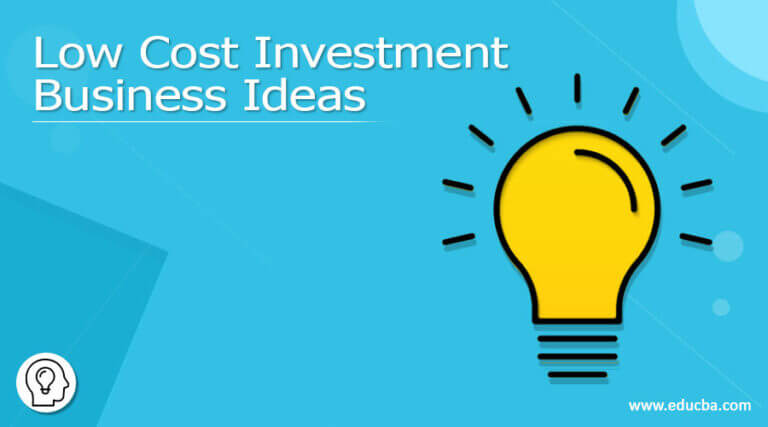 Low Cost Investment Business Ideas | Find out the Top Businesses